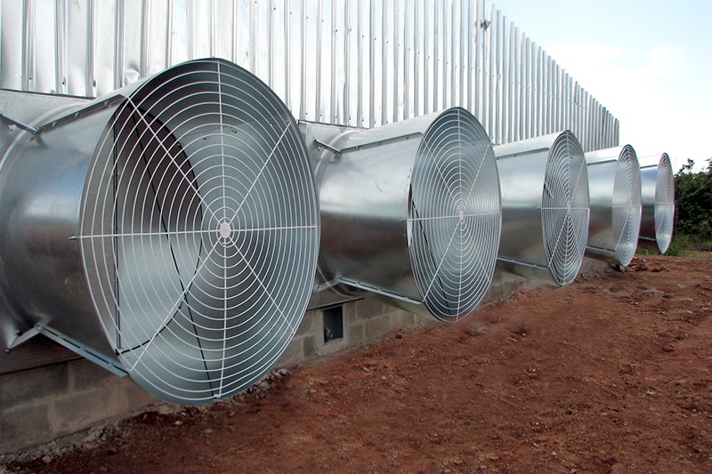 Industrial Fans for Agriculture | Boost Crop & Livestock Health