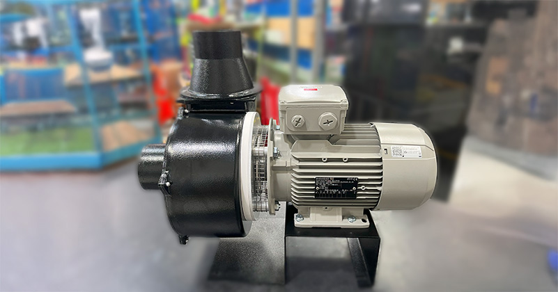 Custom Fan Features | Improve Functionality with ACI Upgrades